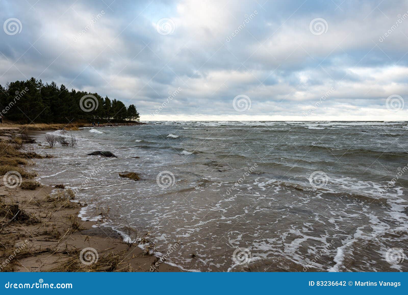 Rocky Sea Beach with Wide Angle Perspective Stock Photo - Image of ...