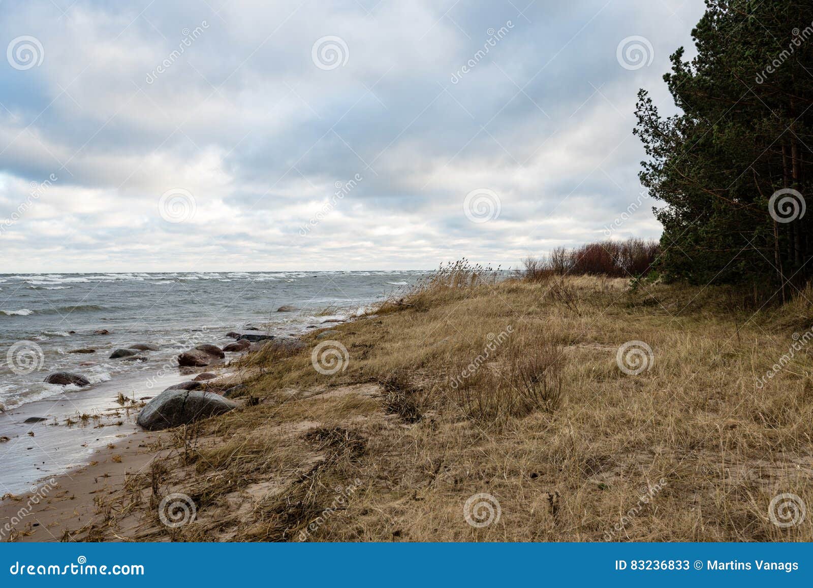 Rocky Sea Beach with Wide Angle Perspective Stock Image - Image of ...