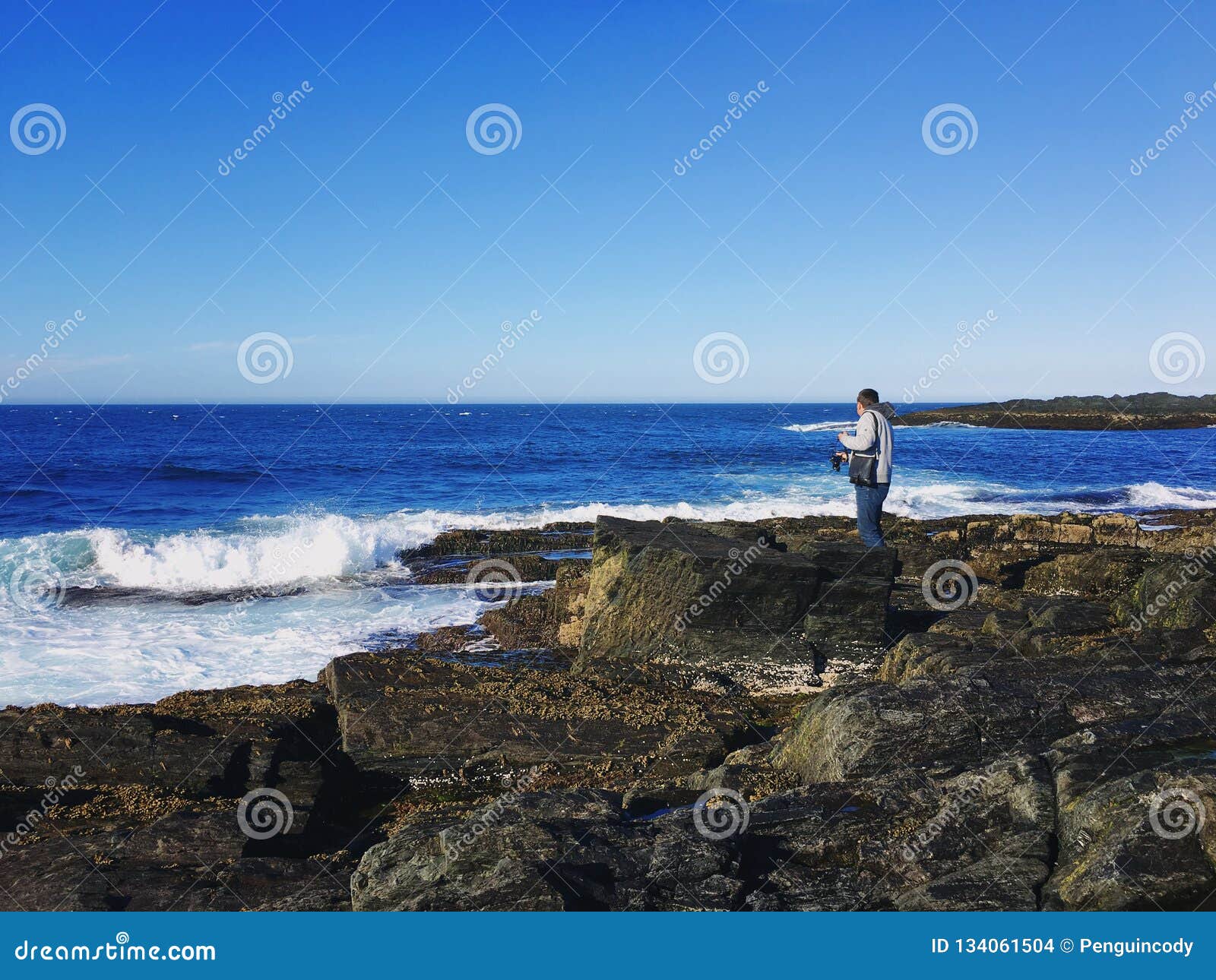 Arctic Ocean shore editorial stock image. Image of arctic - 134061504