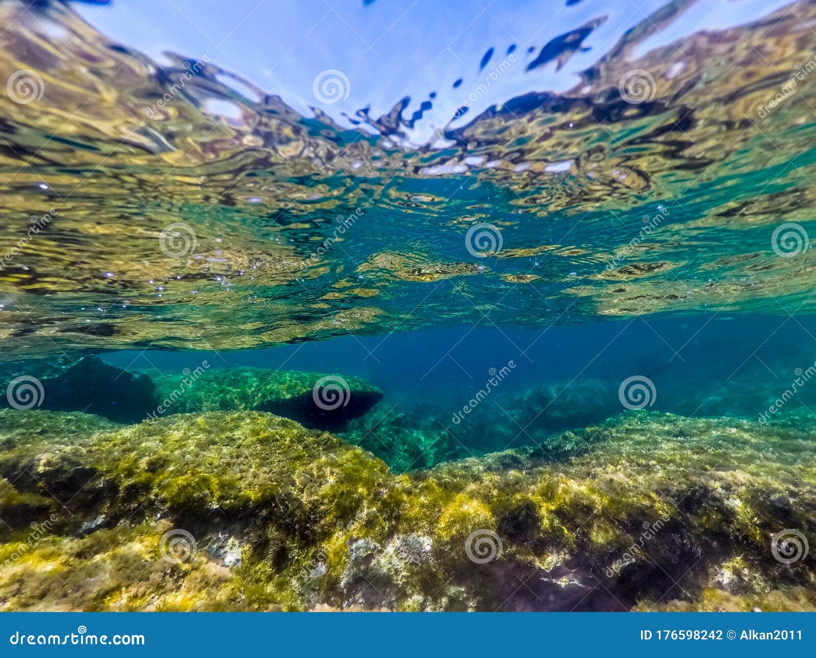 Rocky Seabed in Alghero Shore Stock Photo - Image of nature, scenery ...