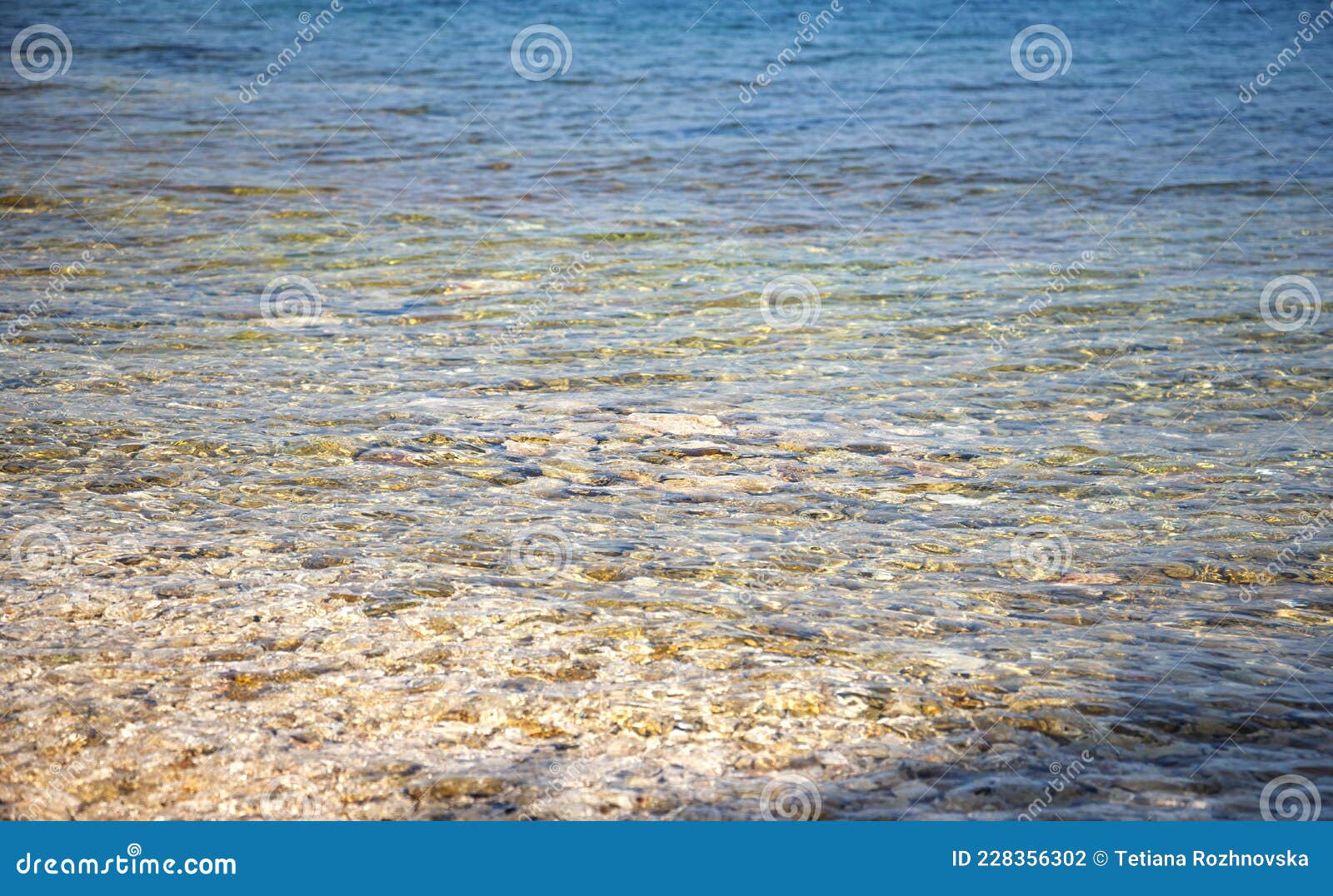 Rocky Seabed and Clear Water. Stock Photo - Image of ocean, seascape ...