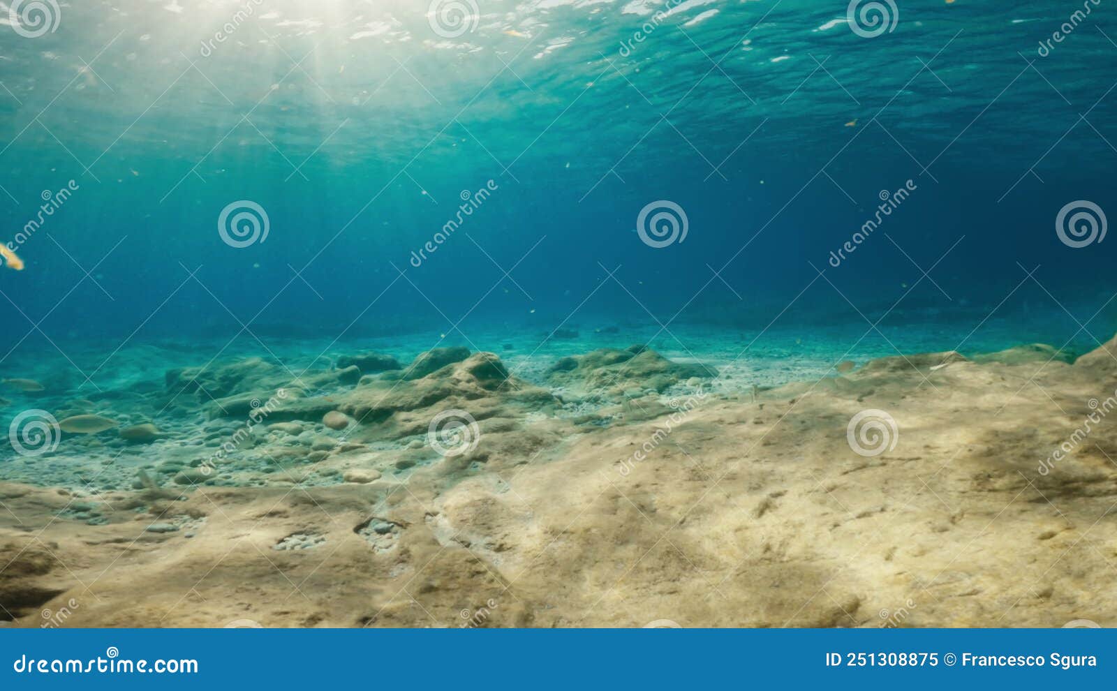 Rocky Seabed Under the Ocean Stock Video - Video of seafloor, water ...