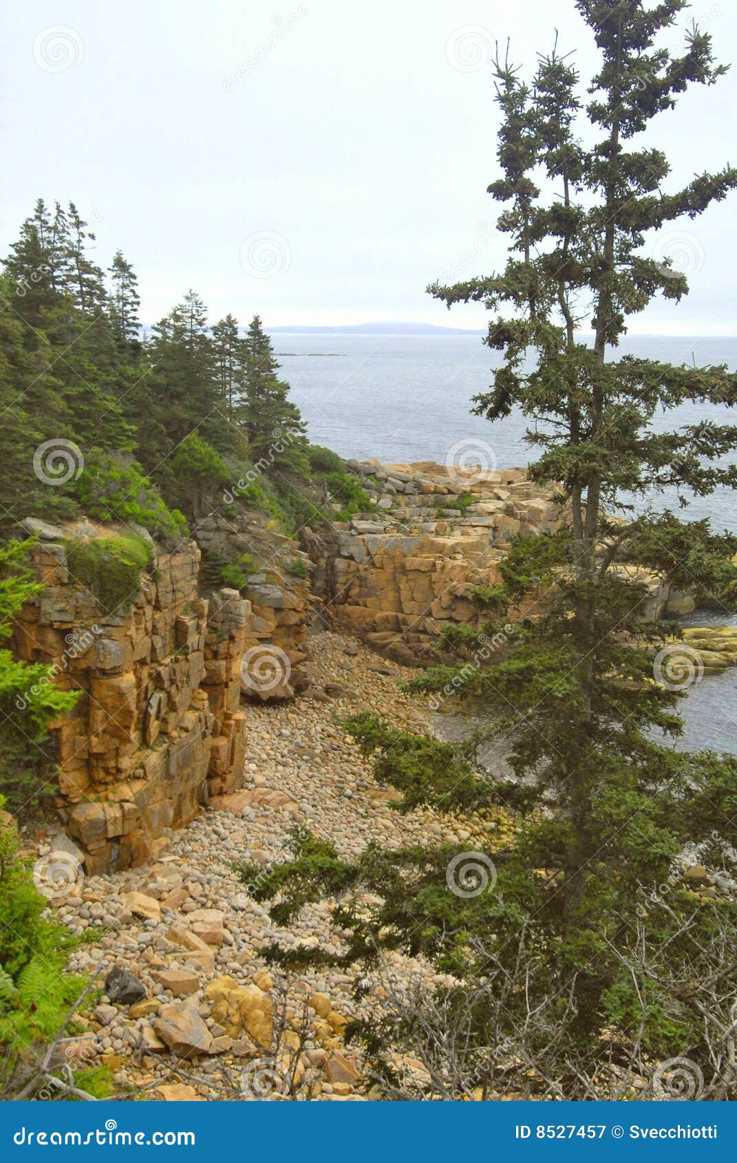 Rocky Seacoast, Acadia stock image. Image of seacoast - 8527457