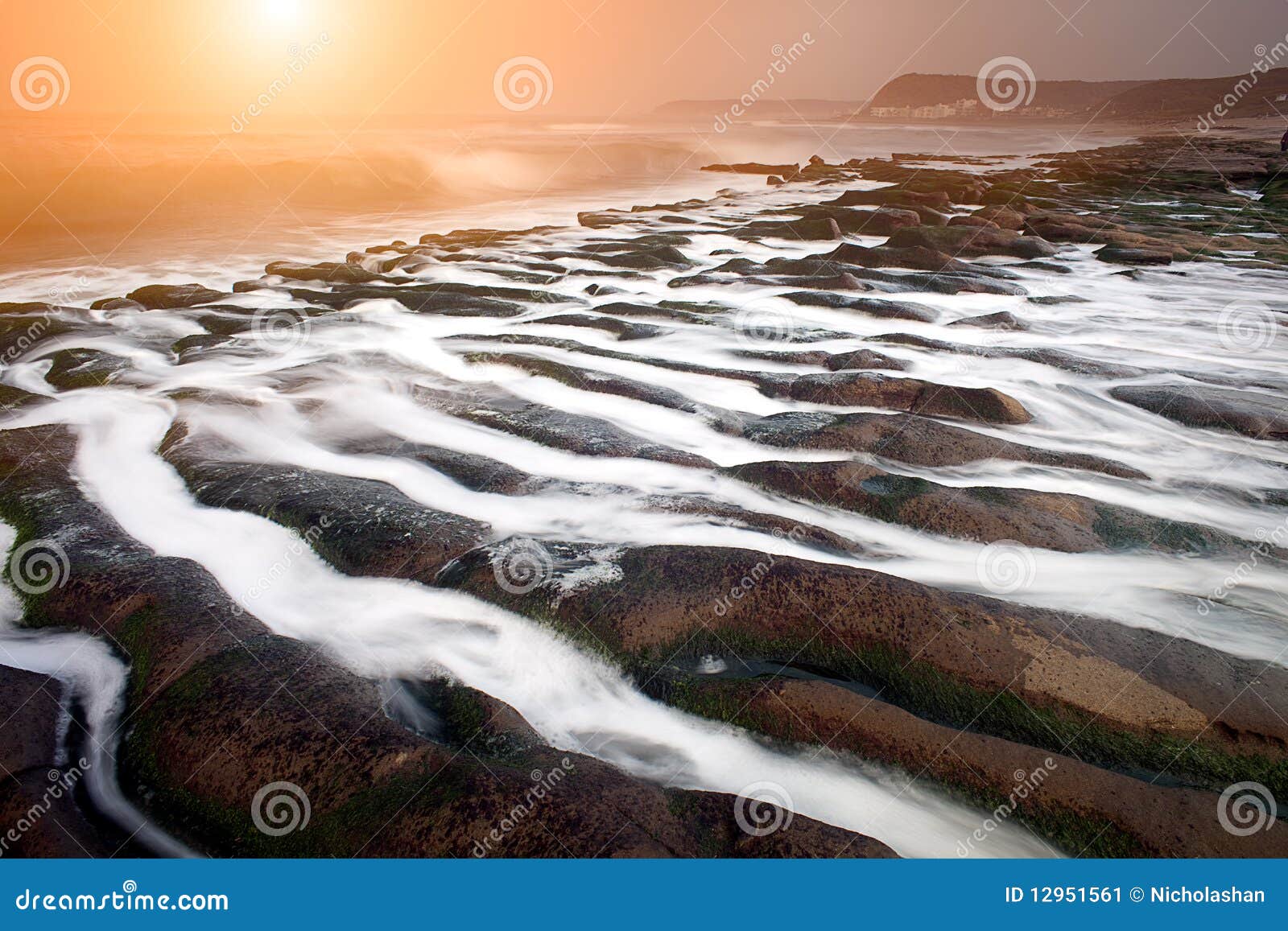 Rocky Seacoast Full of Green Seaweed Stock Image - Image of rock ...
