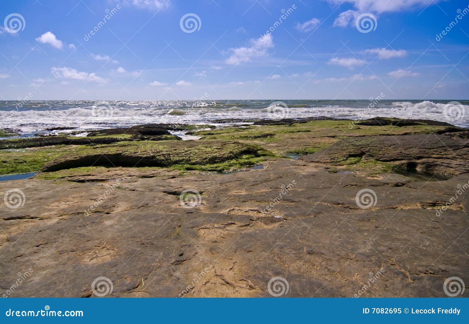 Rocky seascape stock image. Image of algae, flat, beach - 7082695