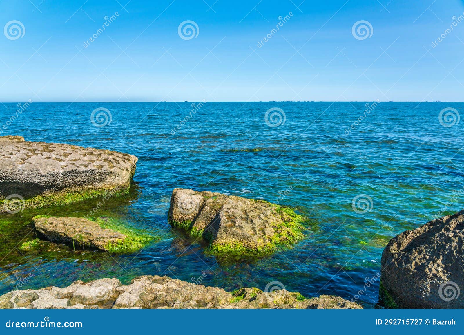 Rocky Seashore Covered with Green Algae. Low Tide on the Ocean Stock ...