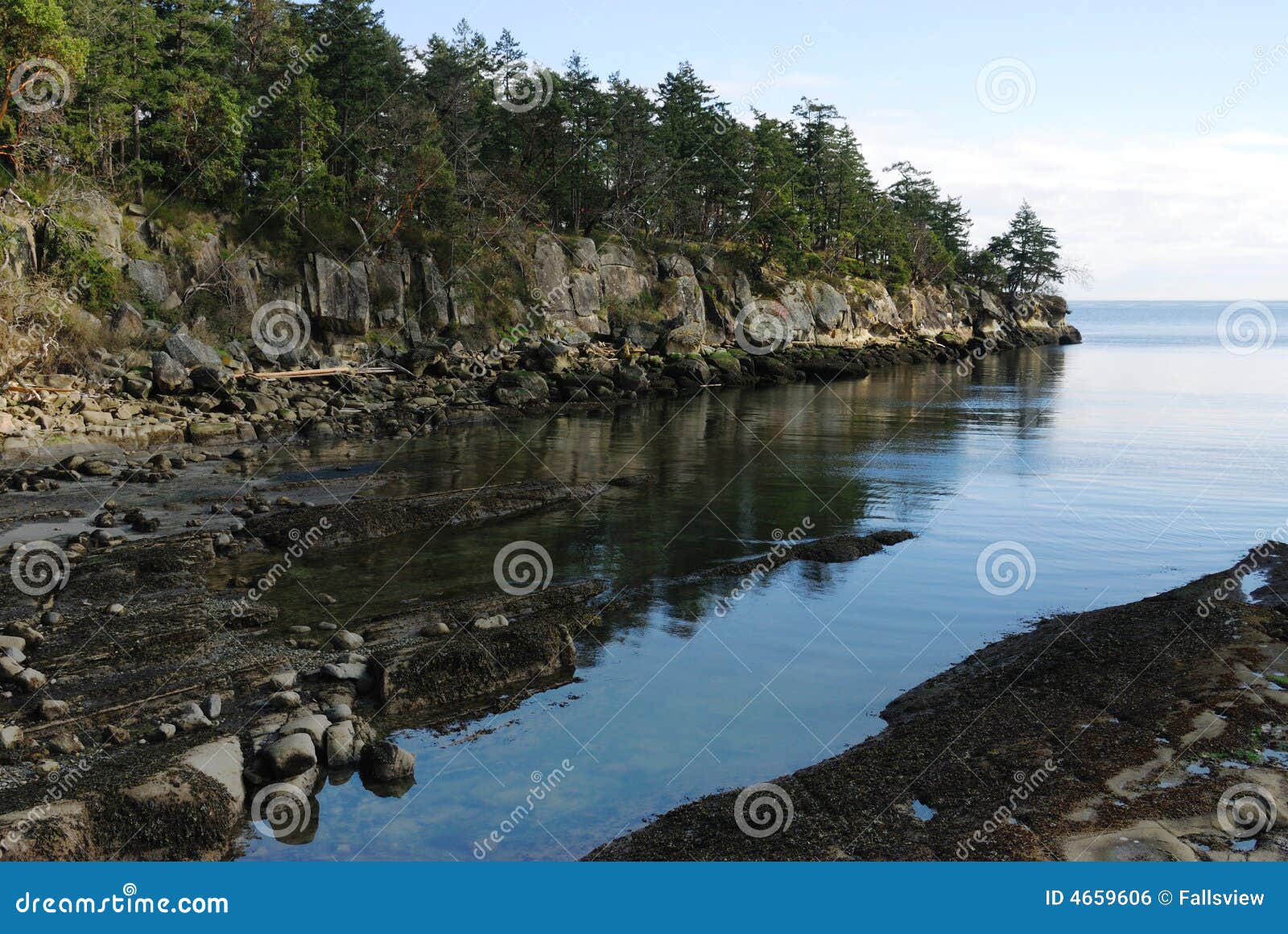 Rocky Shore in Gulf Islands National Park Stock Photo - Image of rocks ...