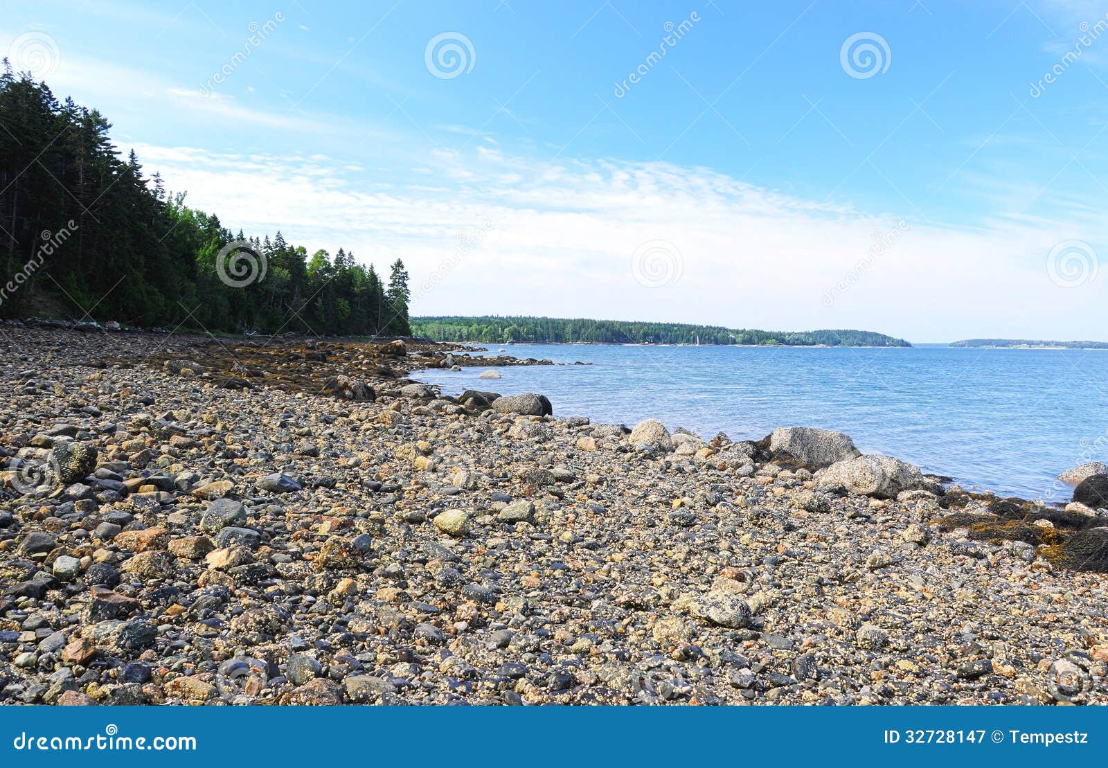 Rocky Shore of a Maine Inlet Stock Image - Image of morning, trees ...