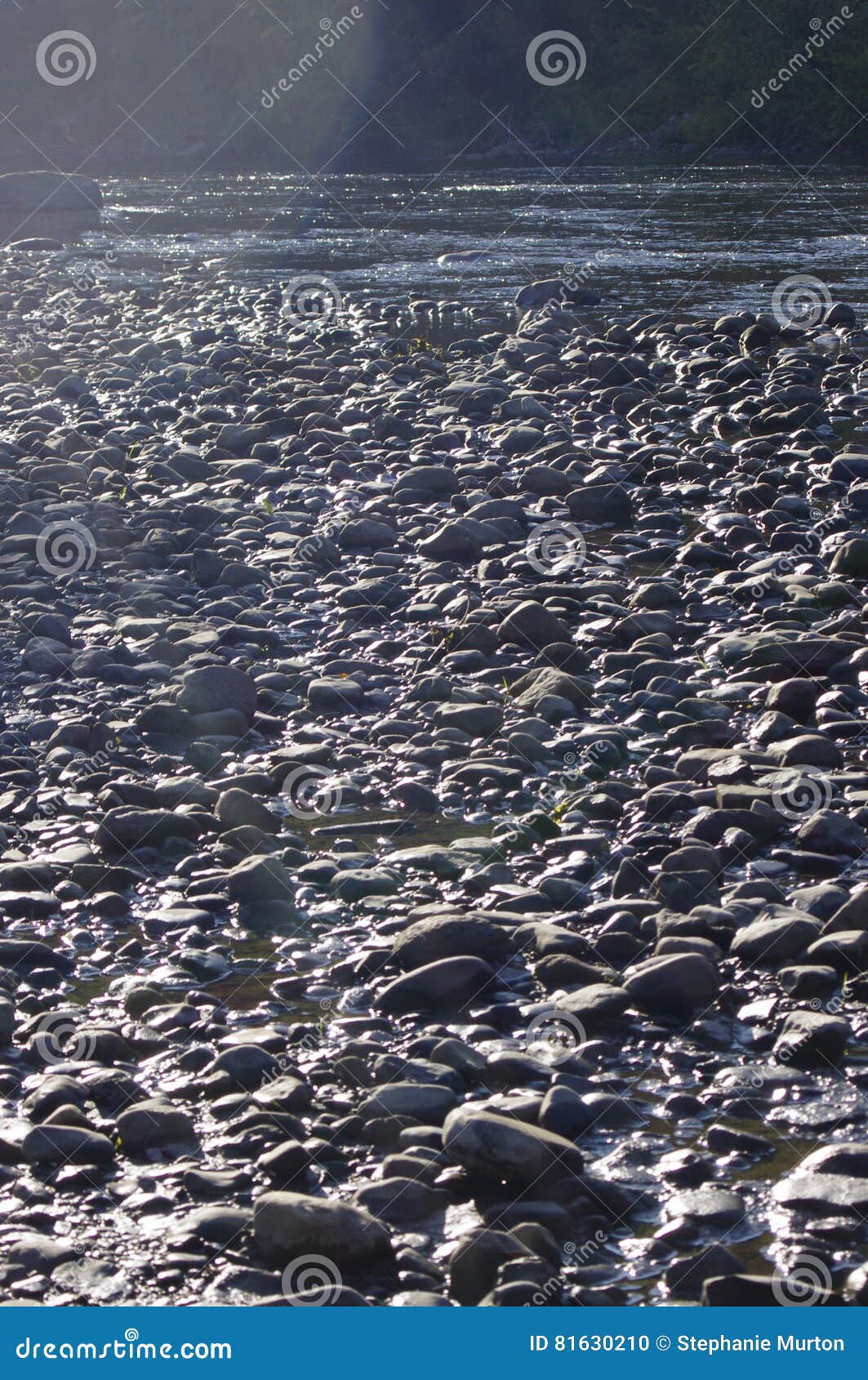Rocky shore in morning stock photo. Image of lake, shoreline - 81630210