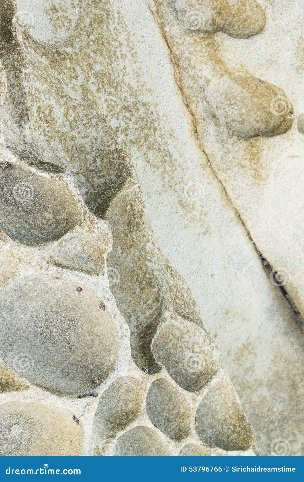 Rocky Shore Texture Background Stock Photo - Image of dark, nature ...