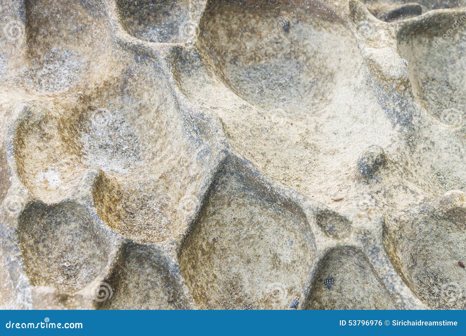 Rocky Shore Texture Background Stock Photo - Image of ocean, shore ...