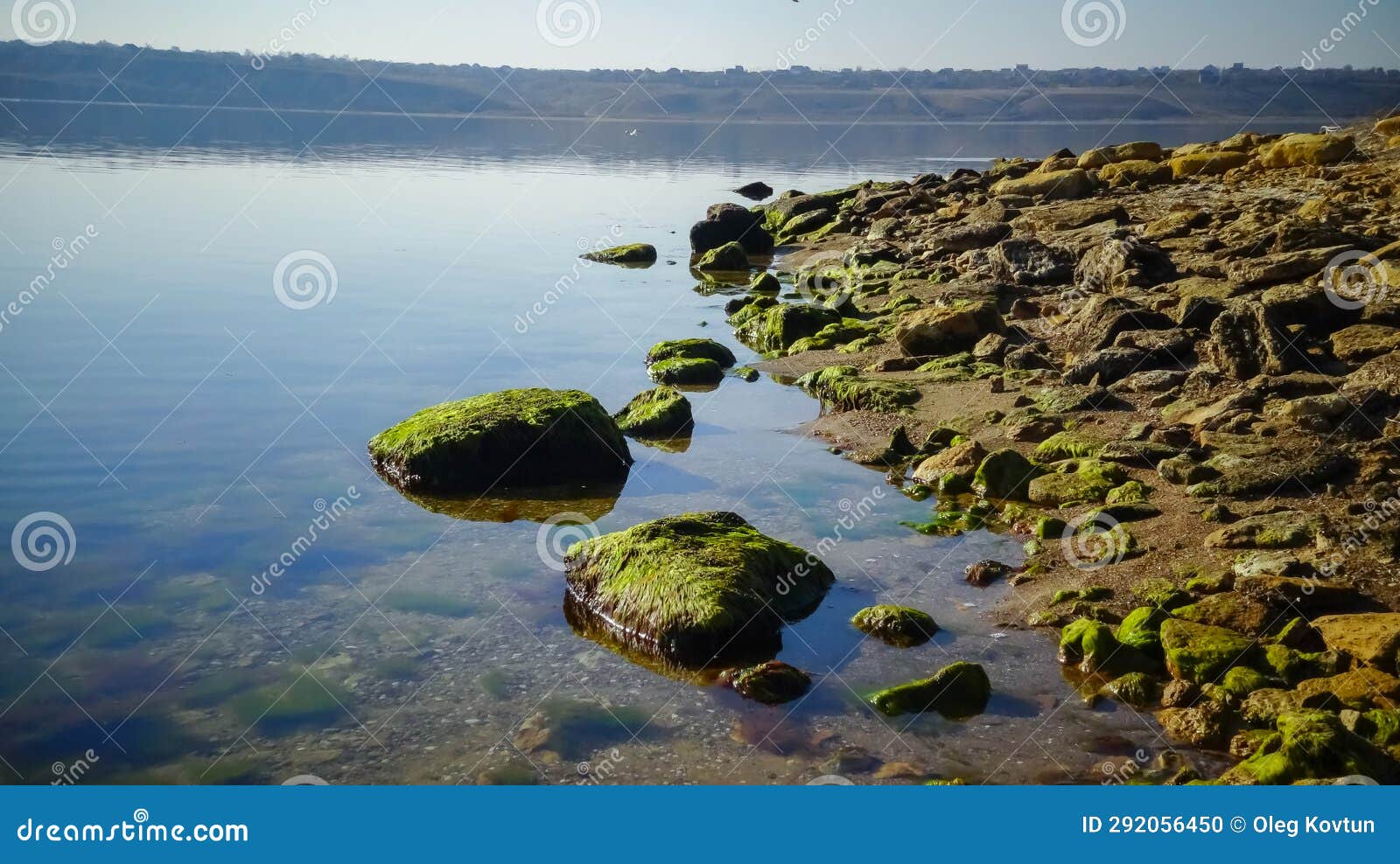 Rocky Shore of the Tiligul Estuary with Algae Emerging from Under the ...