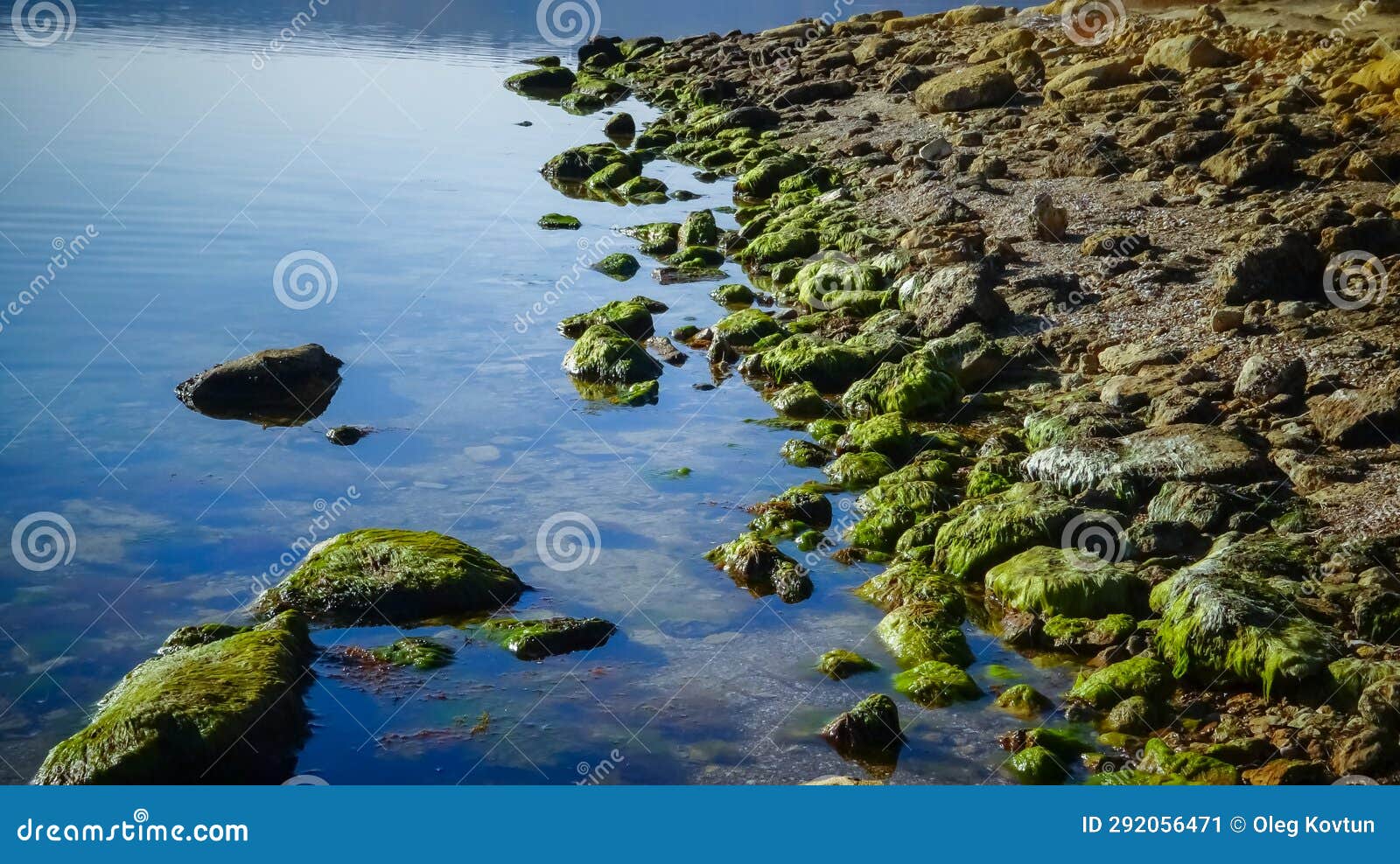 Rocky Shore of the Tiligul Estuary with Algae Emerging from Under the ...