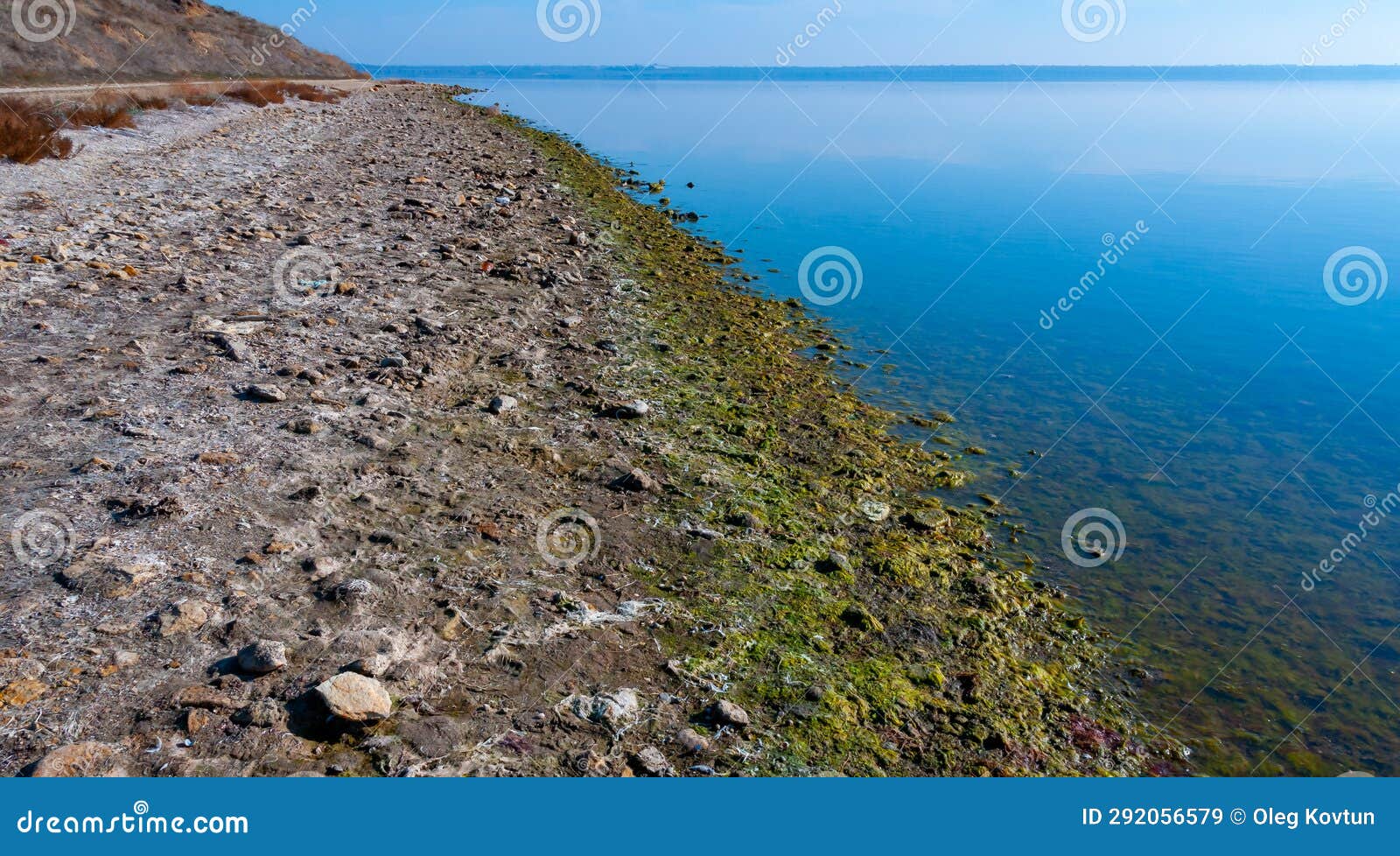 Rocky Shore of the Tiligul Estuary with Algae Emerging from Under the ...