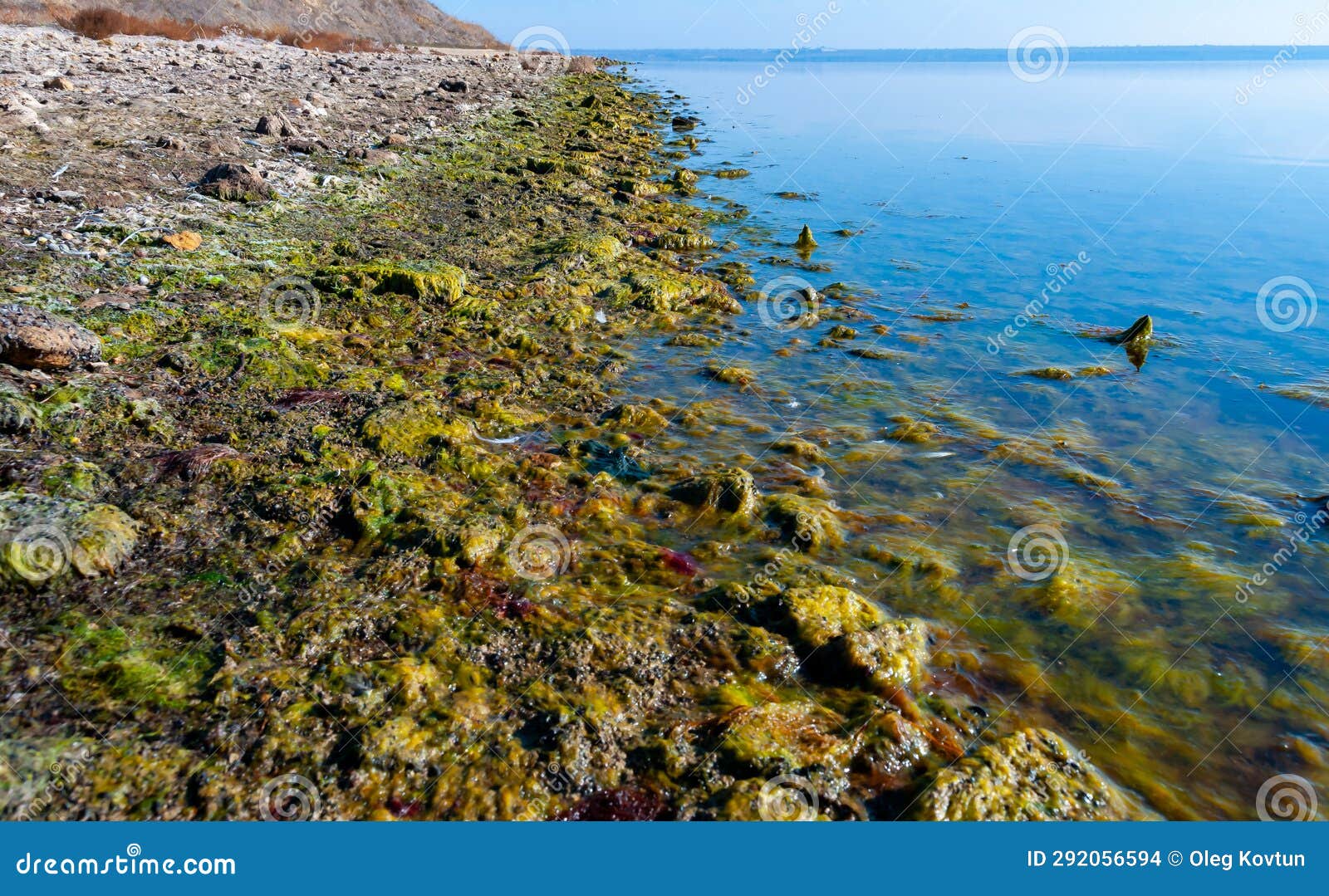 Rocky Shore of the Tiligul Estuary with Algae Emerging from Under the ...