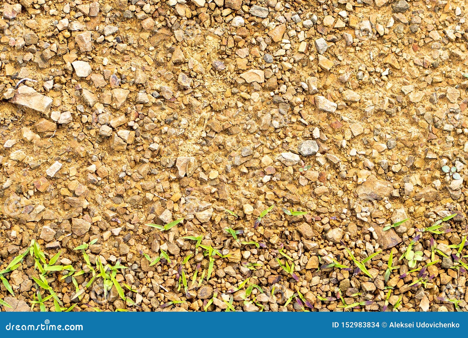 Texture of Rocky Soil with Young Grass Stock Photo - Image of color ...