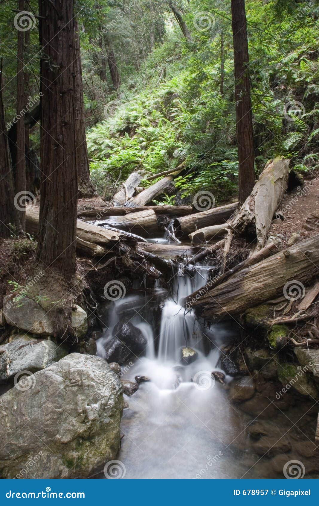 Rocky Stream stock image. Image of limekiln, delicate, park - 678957