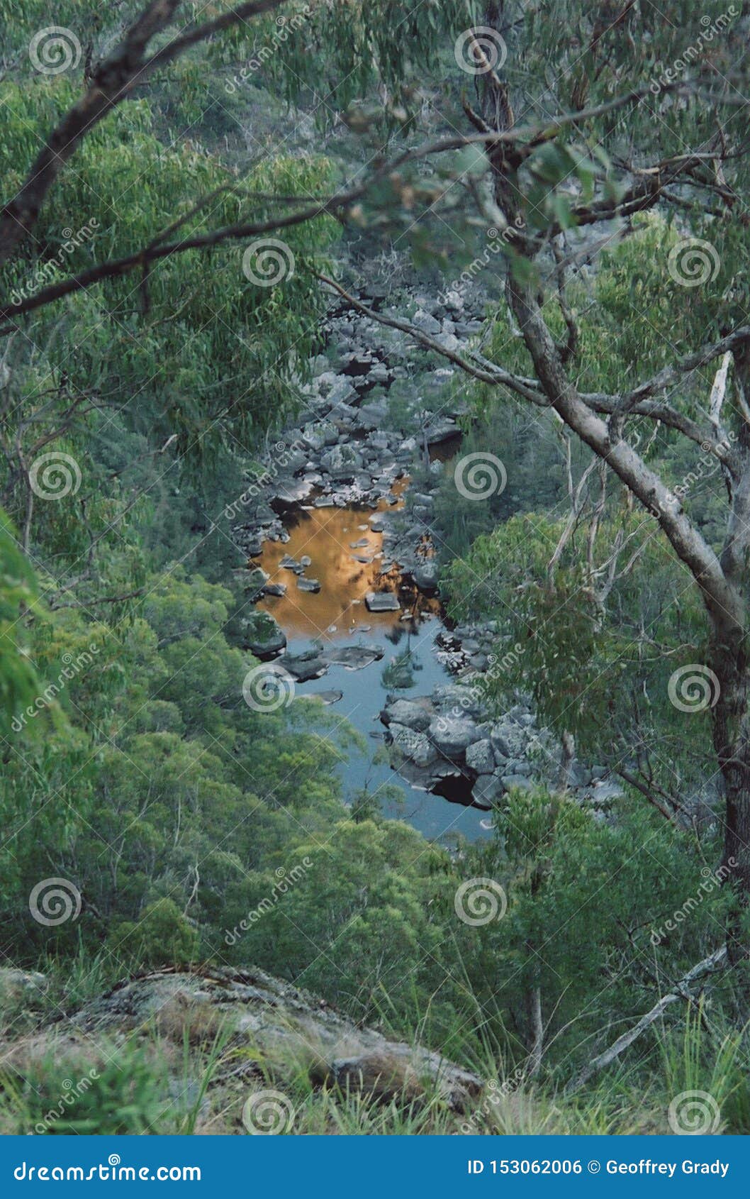 Mountain Reflection on a Small Stream in the Australian Bush Stock ...