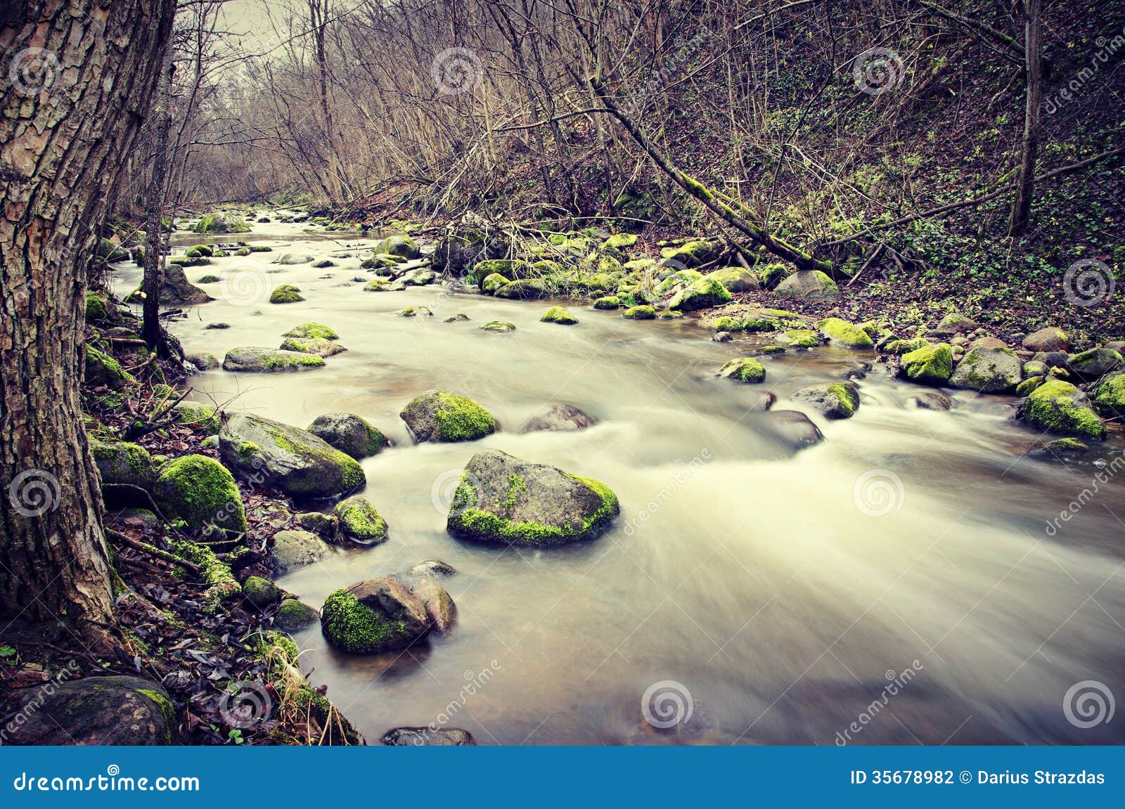 Rocky stream stock photo. Image of spring, trees, season - 35678982