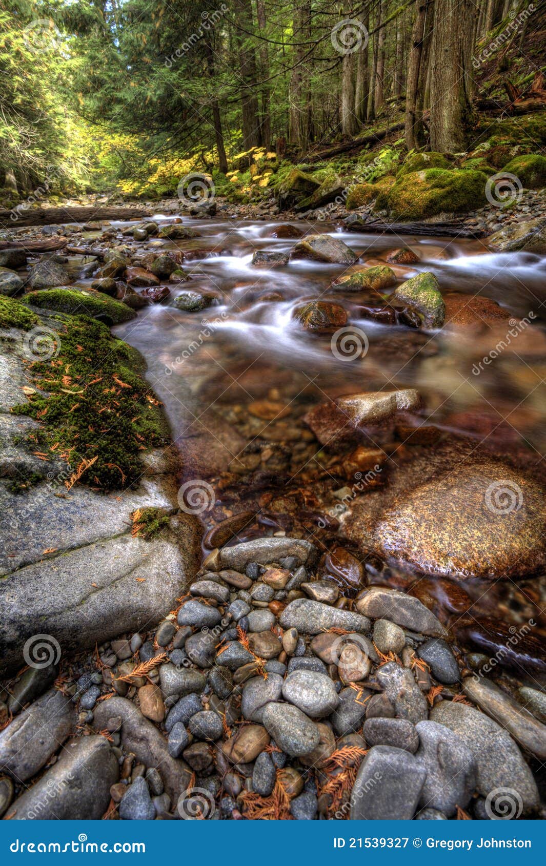 Rocky stream in mountains. stock image. Image of boulder - 21539327