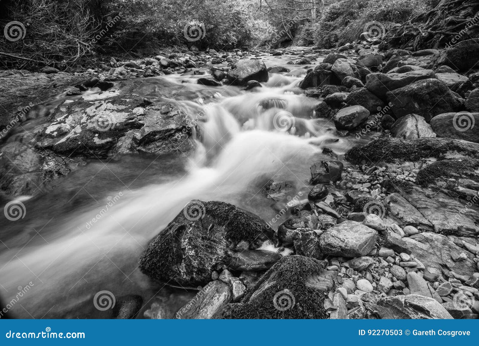 Rocky stream stock image. Image of shores, grayscale - 92270503