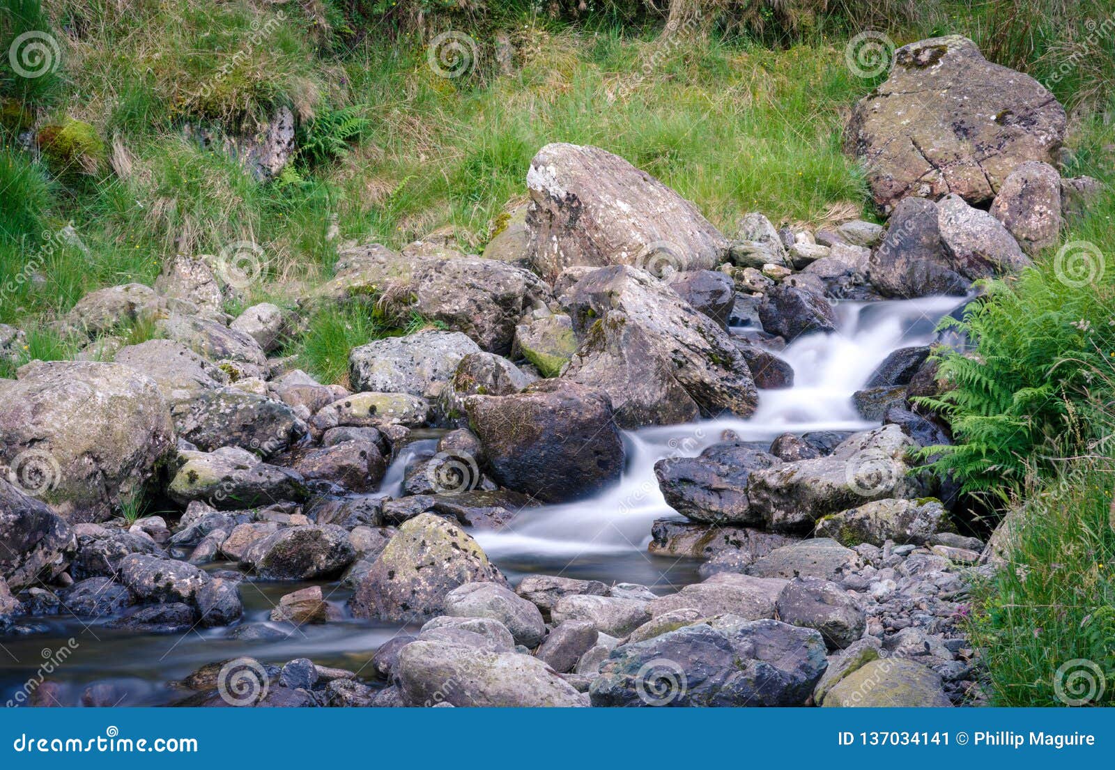 Rocky stream on a slope stock image. Image of motion - 137034141