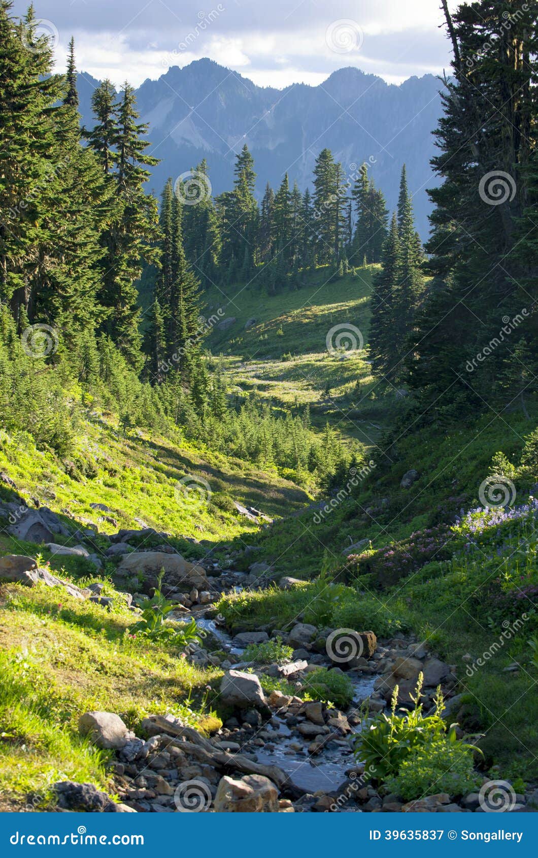Rocky Stream stock image. Image of hiking, exploration - 39635837