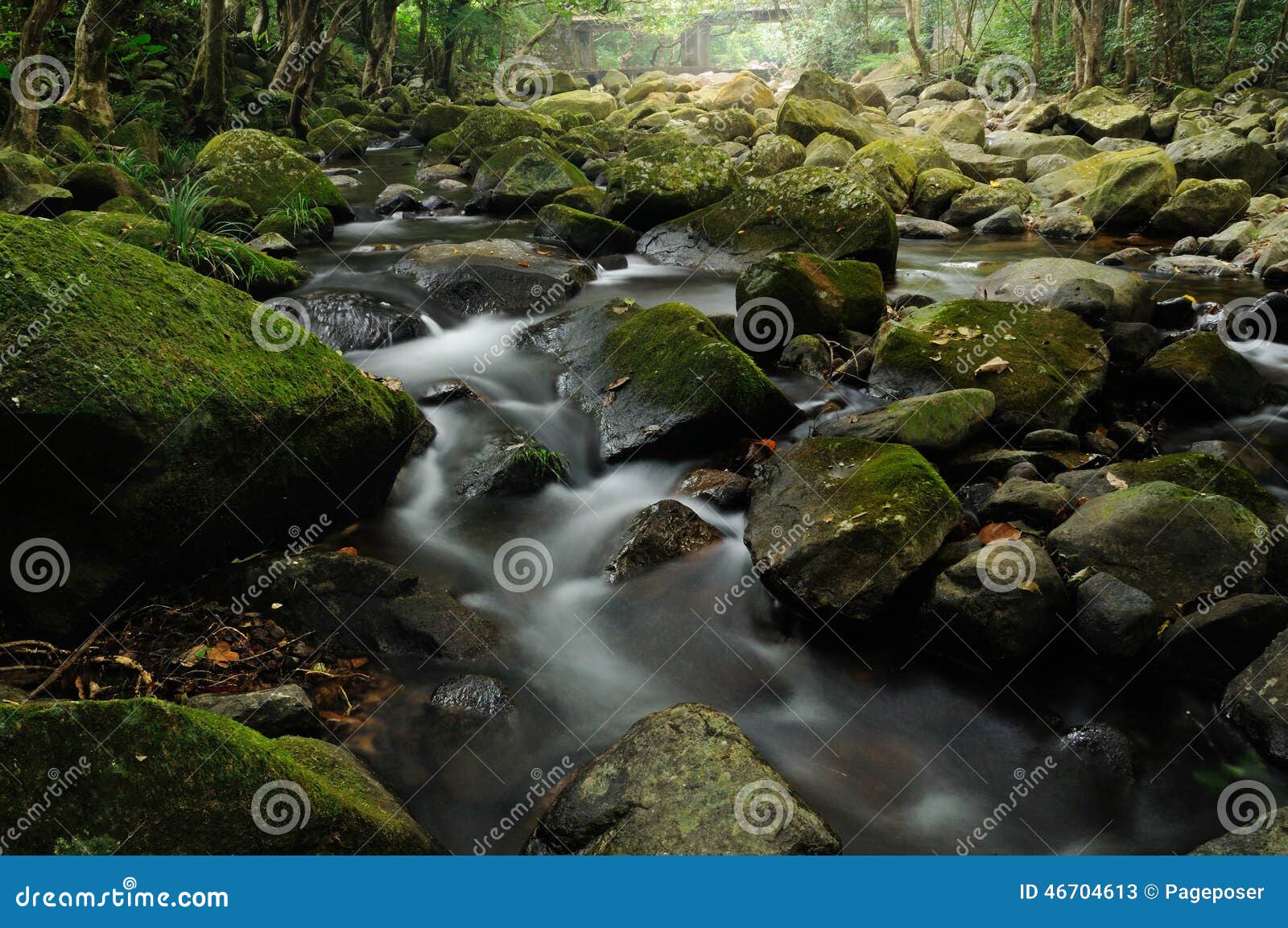Rocky stream stock image. Image of rocky, green, rock - 46704613