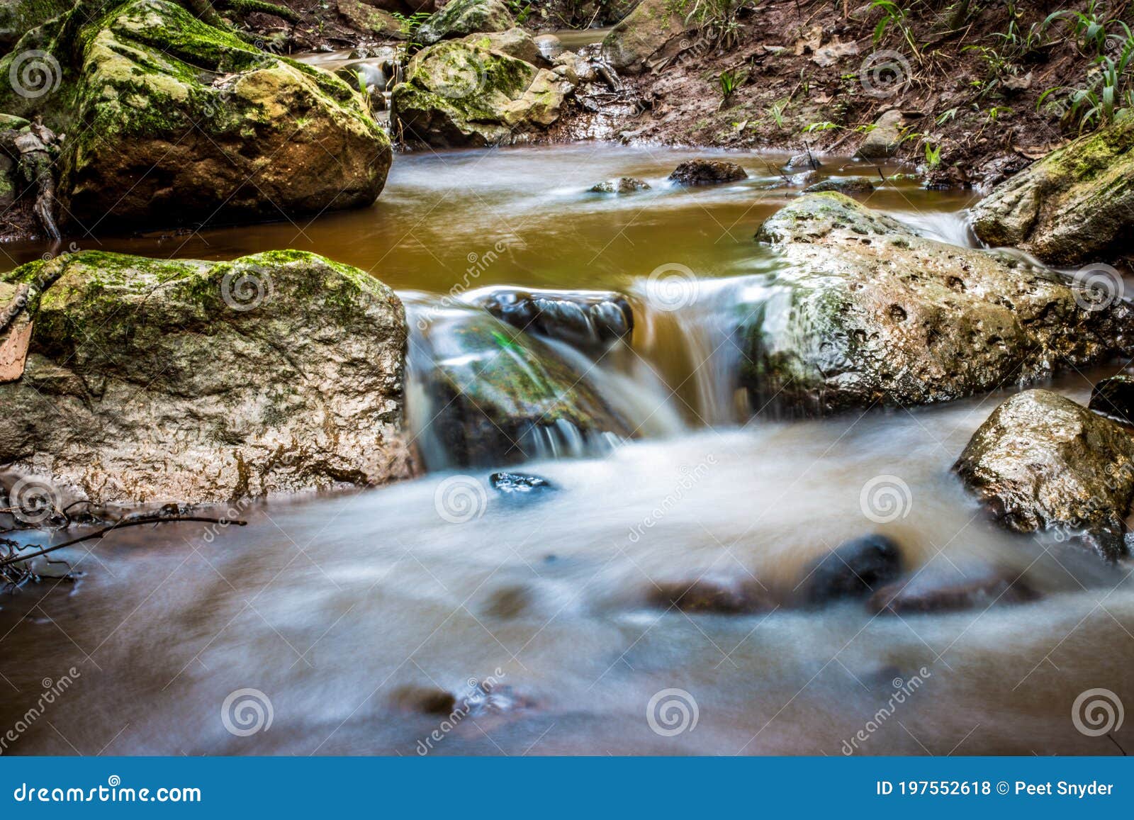 Rocky stream in the woods stock photo. Image of creek - 197552618