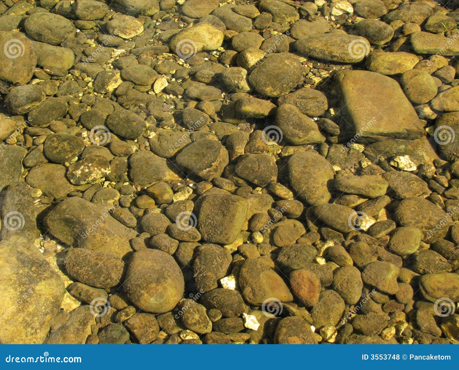 113 Streambed Background Stock Photos - Free & Royalty-Free Stock ...