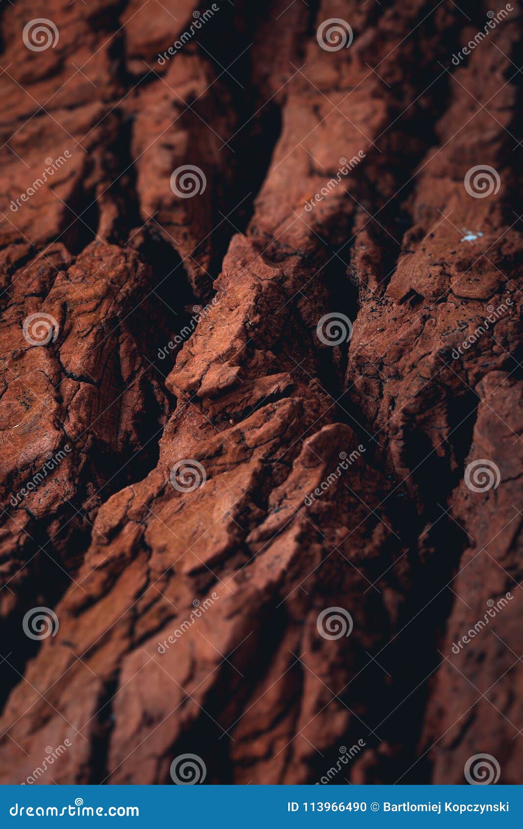 Rocky Surface of the Planet Mars with Visible Valleys Stock Photo ...