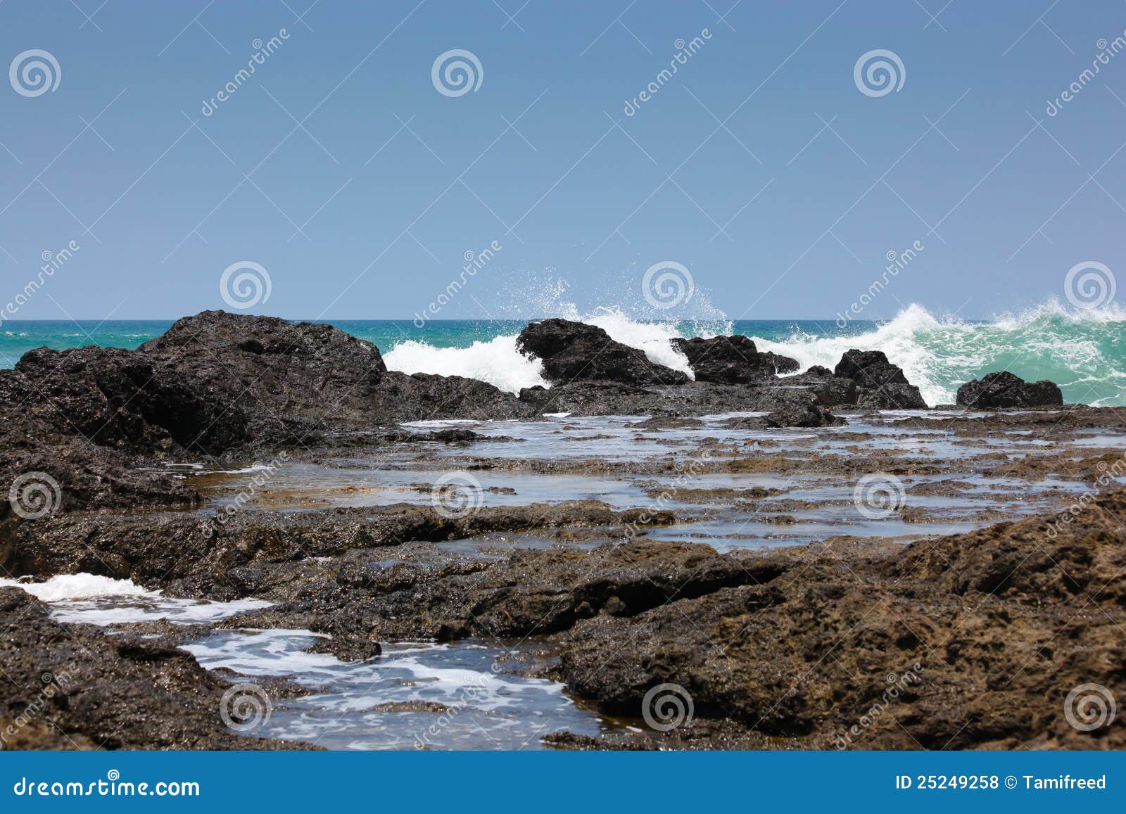 Rocky Tidal Pool stock photo. Image of tidal, costa, enjoy - 25249258