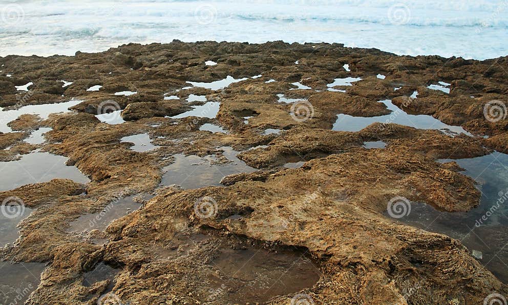 Rocky Tide Pools stock photo. Image of puddle, mountainous - 14428520