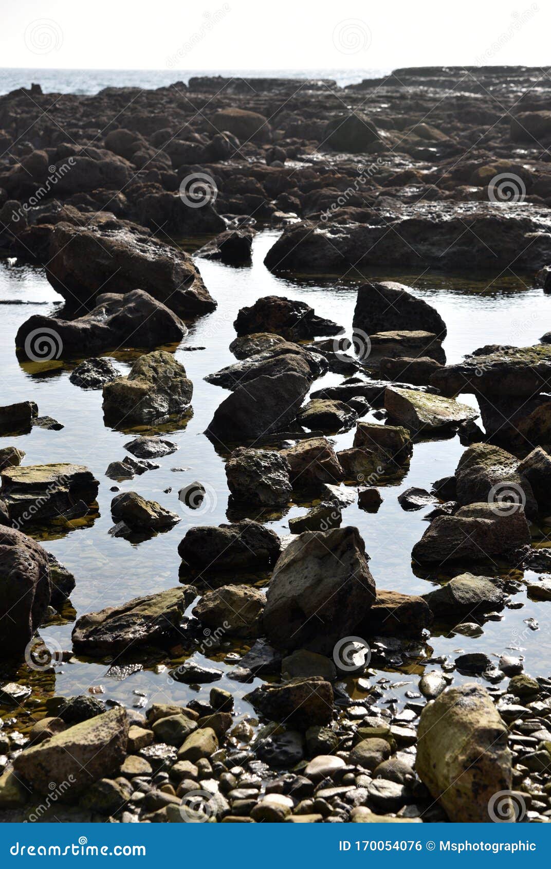 Rocky tidepool stock photo. Image of rocks, shale, reflection - 170054076