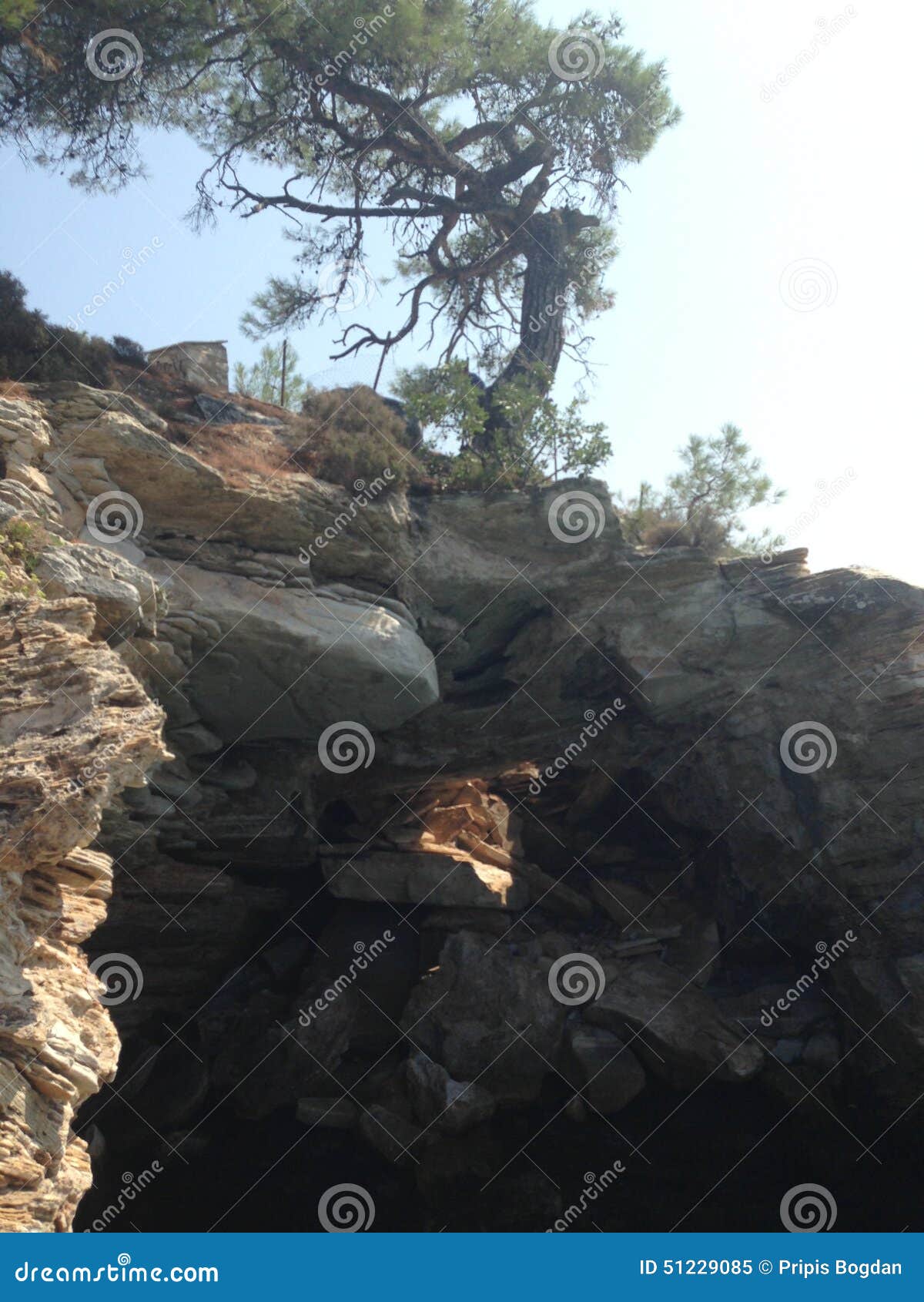 Rocky tree stock image. Image of grew, tree, rocky, cliffs - 51229085