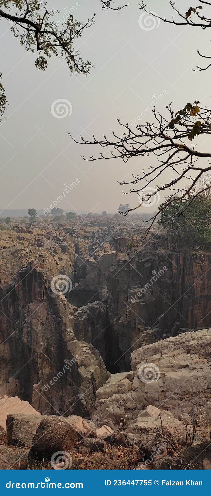 Rocky valley in jungle stock image. Image of cliff, ruins - 236447755