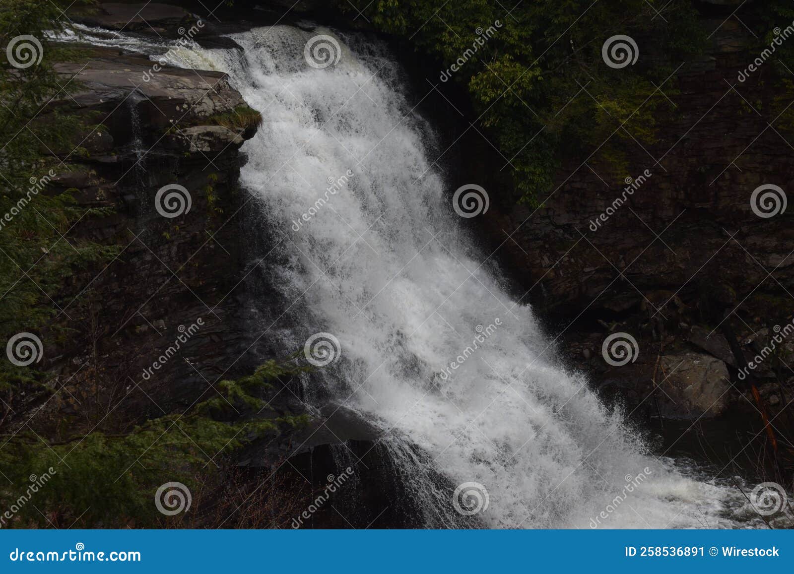 Rocky Waterfall in the Forest Stock Image - Image of flow, waterfall ...