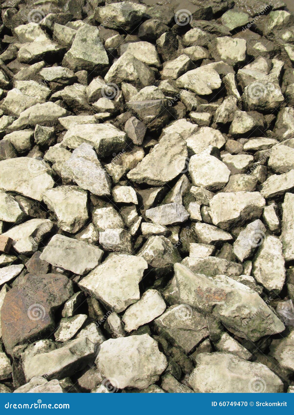 Rocky waterfront stock photo. Image of small, ripple - 60749470