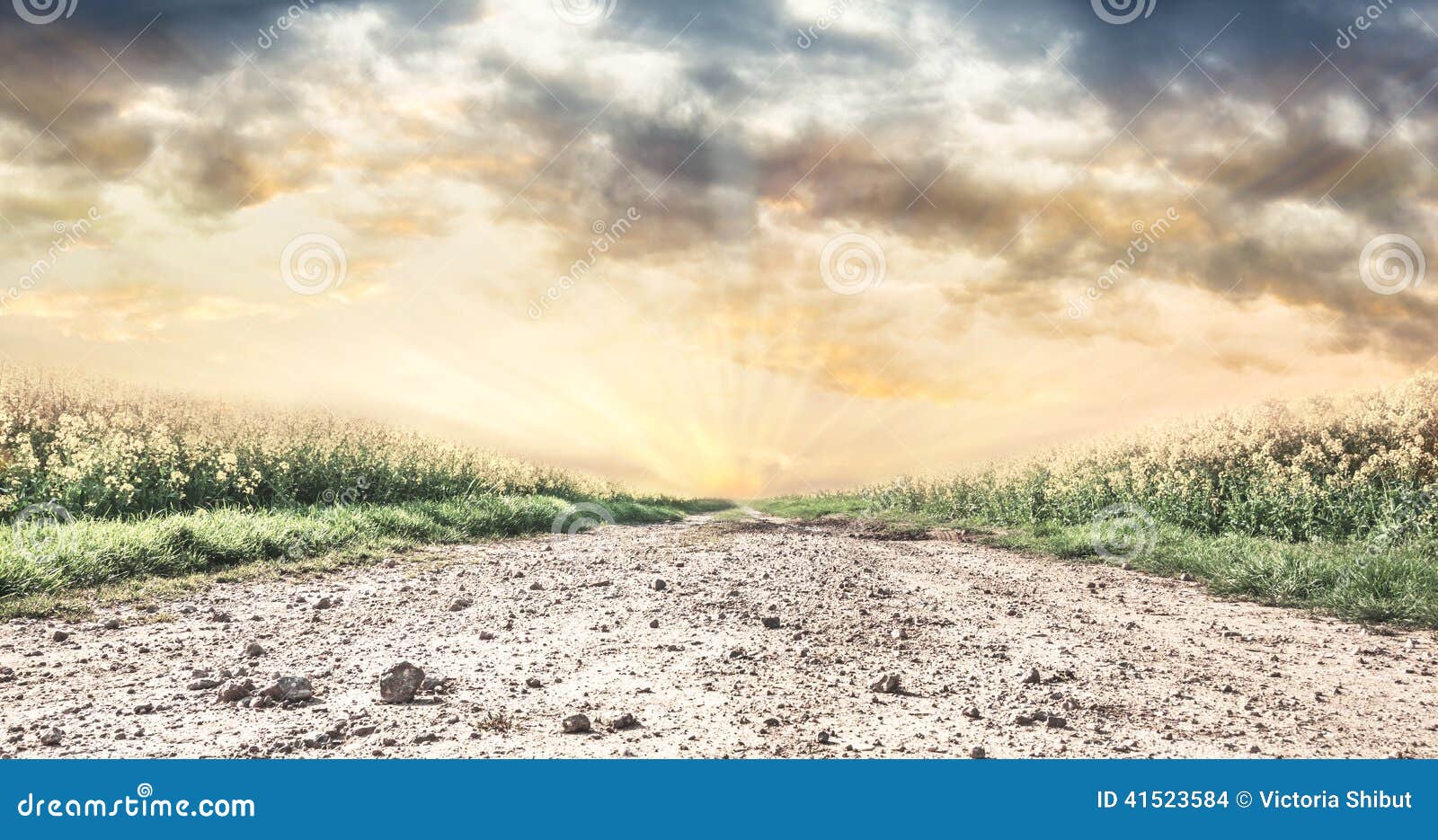 Rocky Way in Fields at Sunset, Landscape Stock Photo - Image of ...