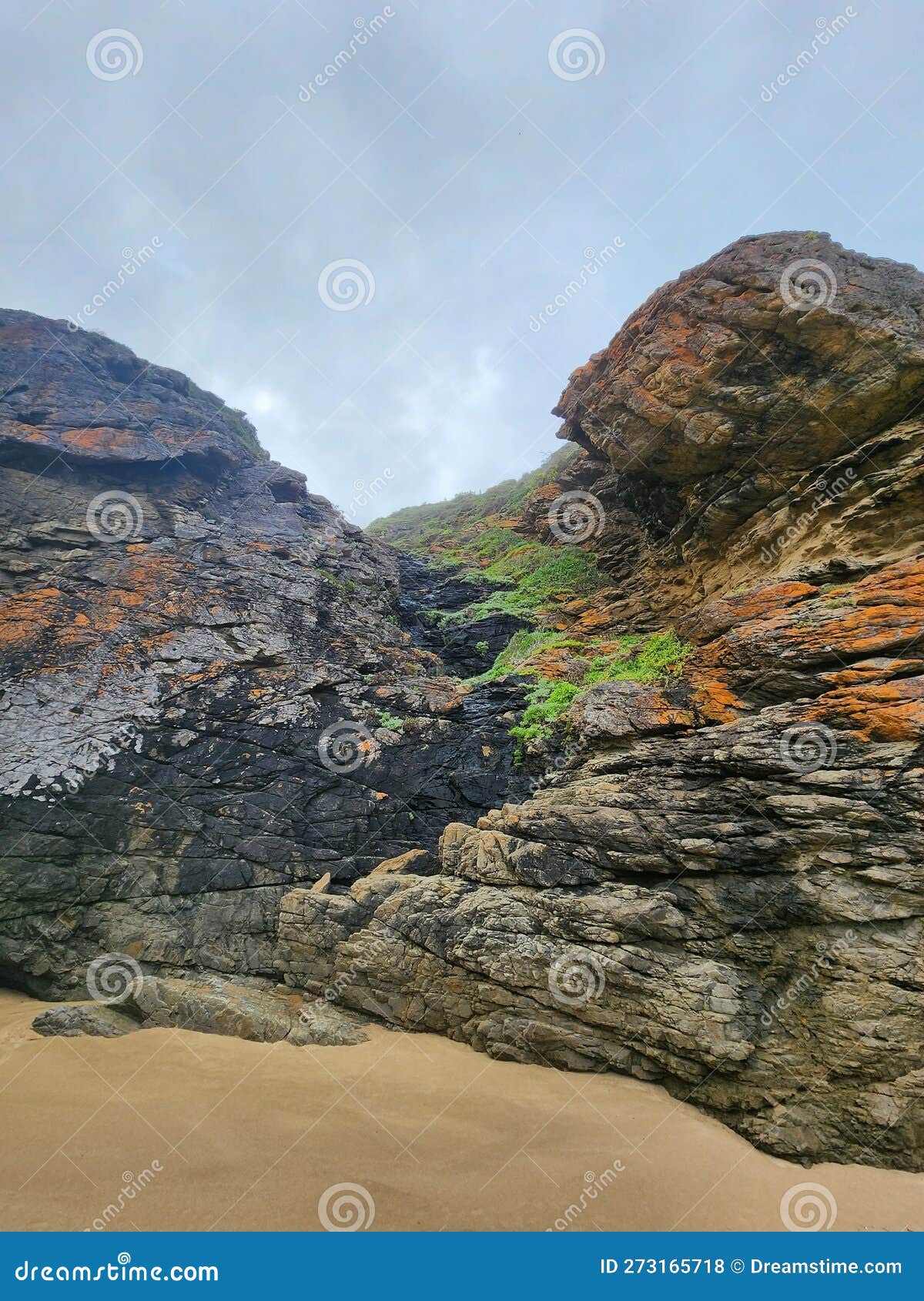 Rocky and Wet Hiking Trail with Mist Stock Photo - Image of hiking ...