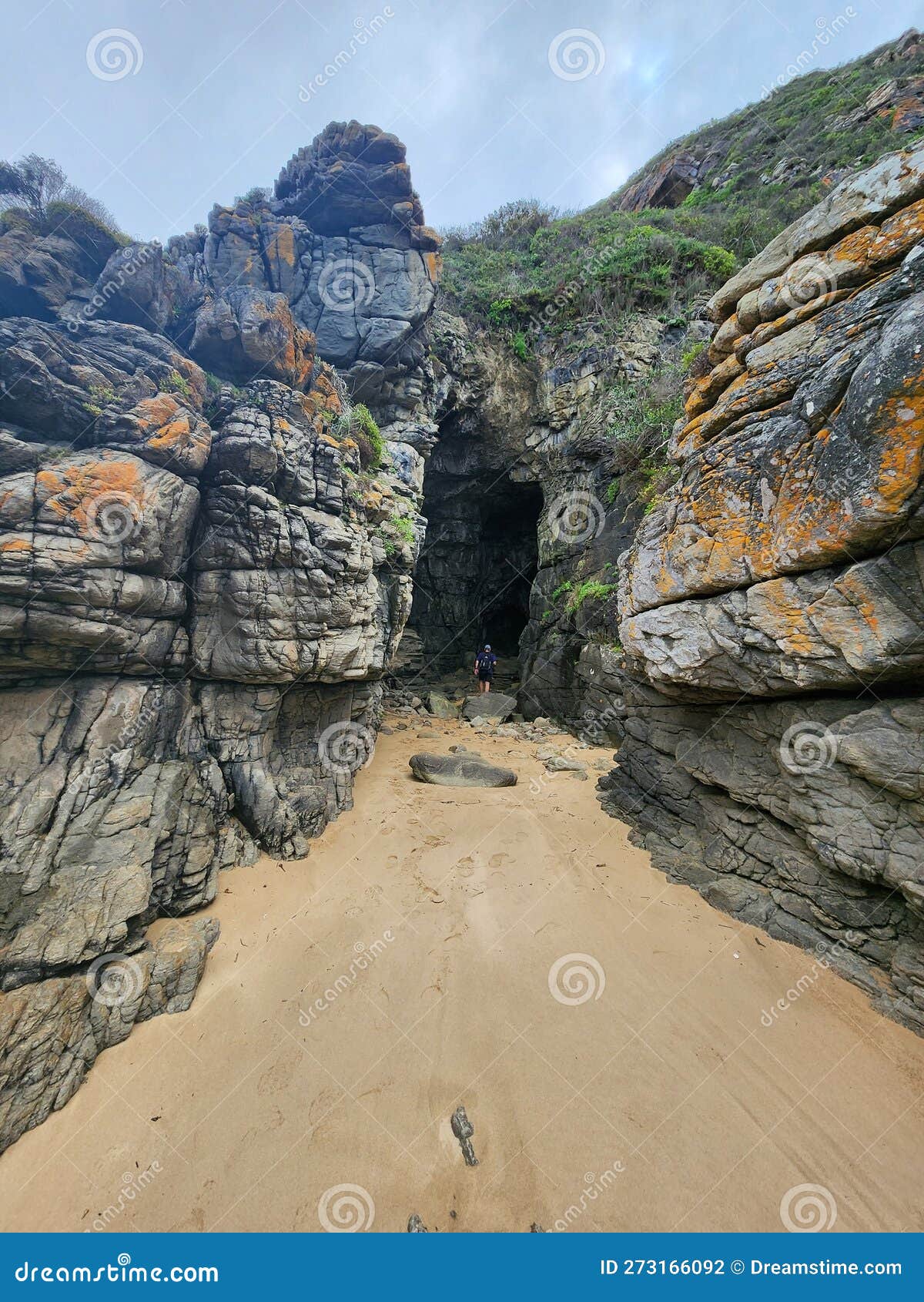 Rocky and Wet Hiking Trail with Mist Stock Photo - Image of trail ...