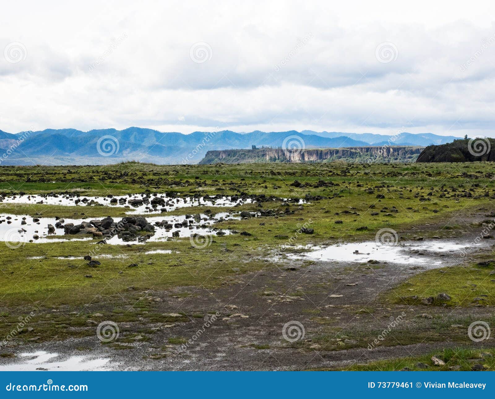 Rocky wetlands stock image. Image of water, point, rock - 73779461
