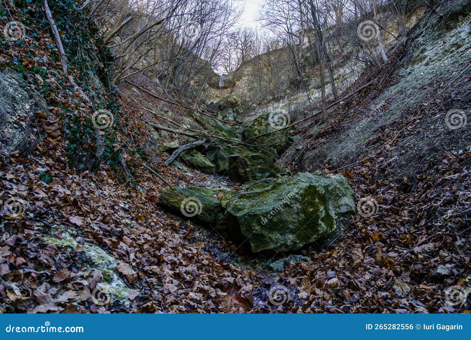 Rocky Wilderness. Background or Backdrop with Selective Focus and Copy ...
