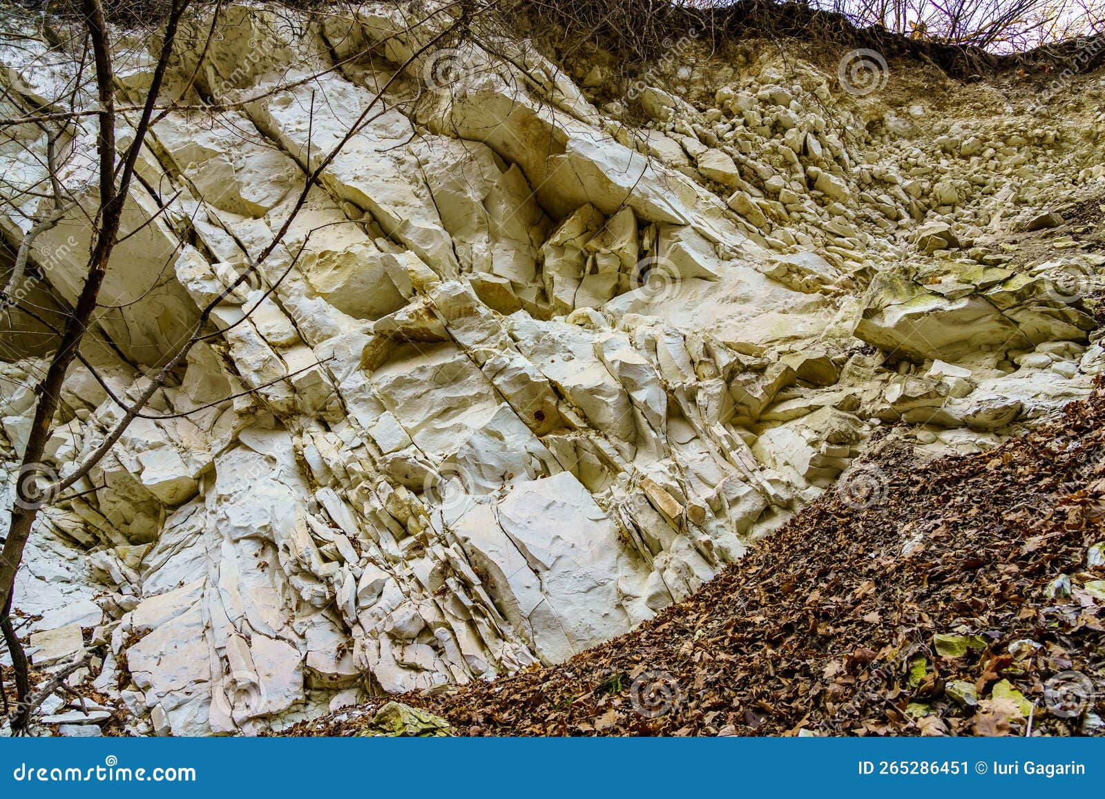 Rocky Wilderness. Background or Backdrop with Selective Focus and Copy ...