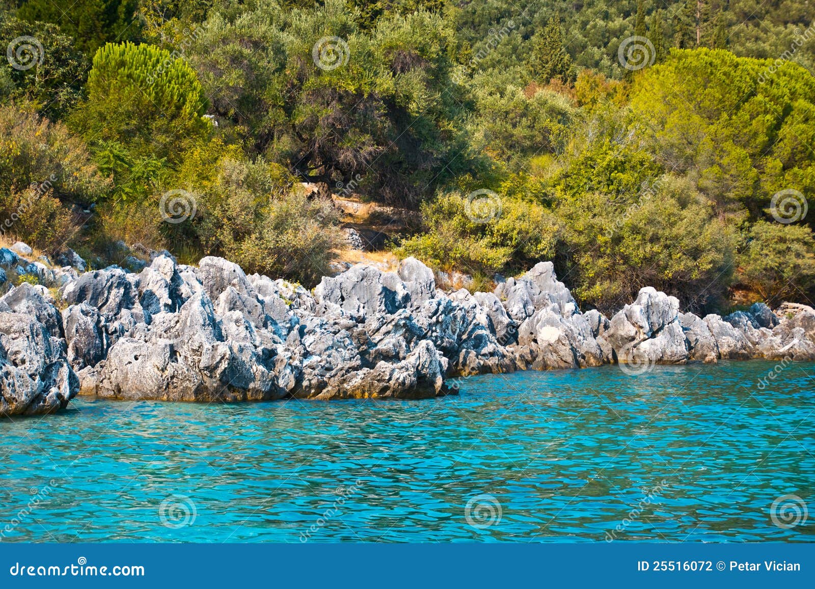 Rocky and wooded sea shore stock photo. Image of landscape - 25516072