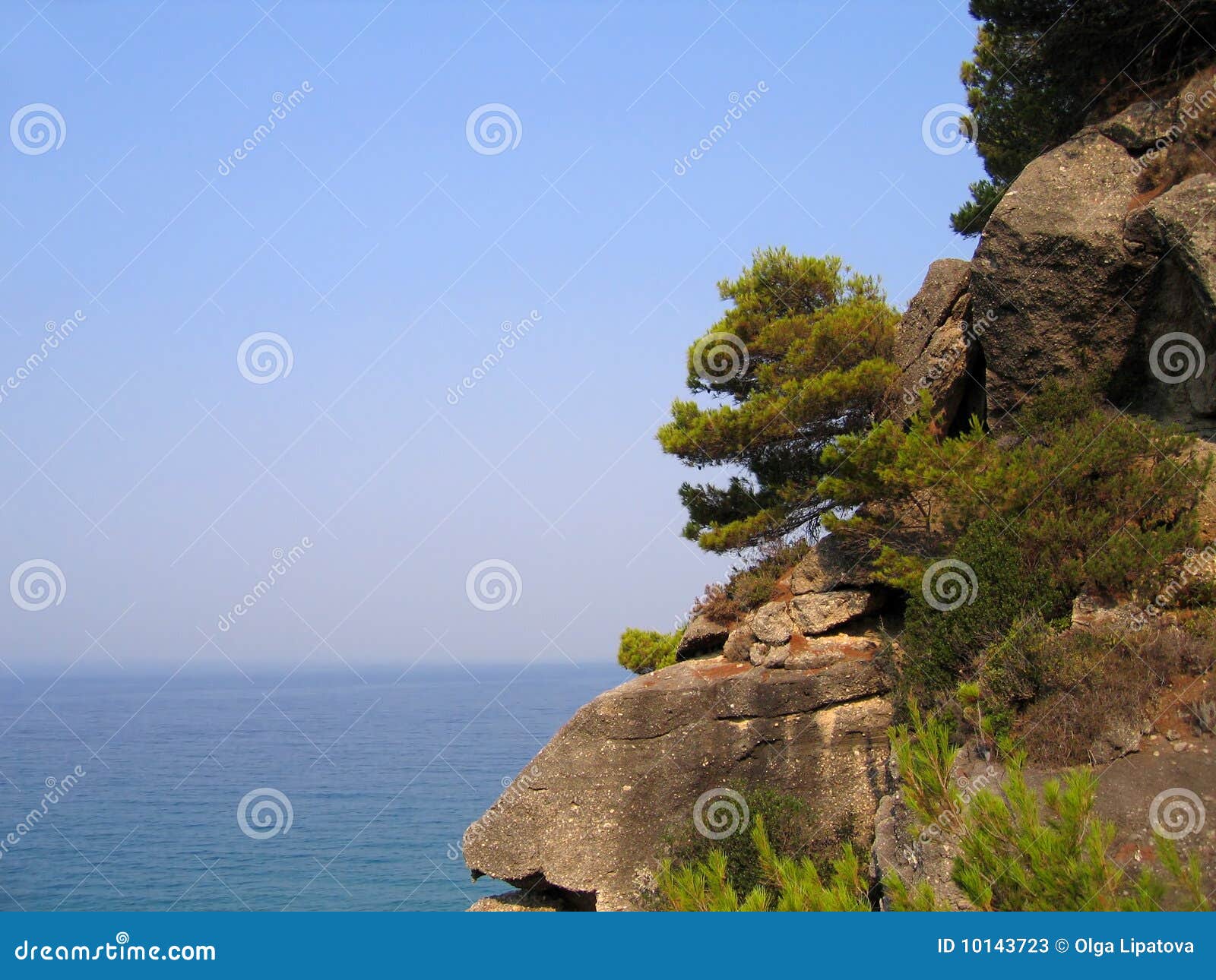 Rocky and wooded shore stock image. Image of heat, ocean - 10143723