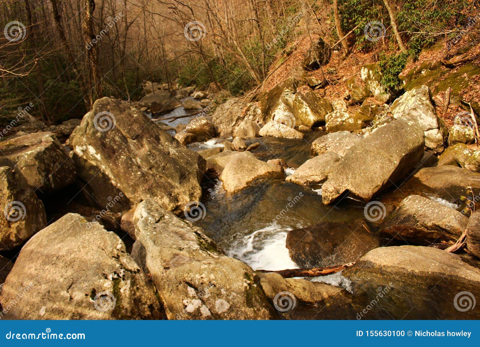 Rocoso foto de archivo. Imagen de rocoso, rocas, maderas - 155630100