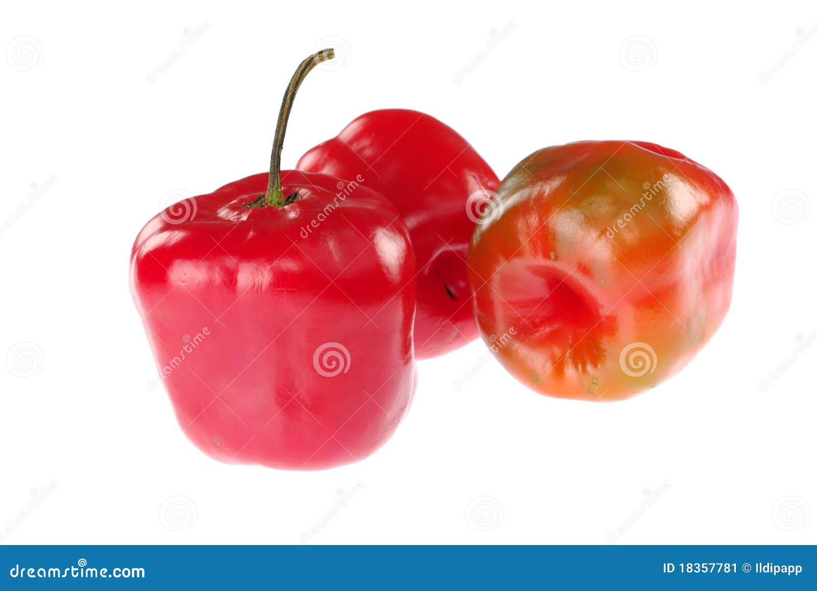 Rocoto, Pimienta Caliente Peruana Imagen de archivo - Imagen de ...