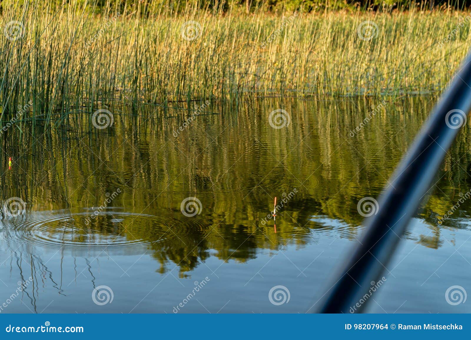 Rod and Float. Fishing on the Lake Stock Photo - Image of active, river ...