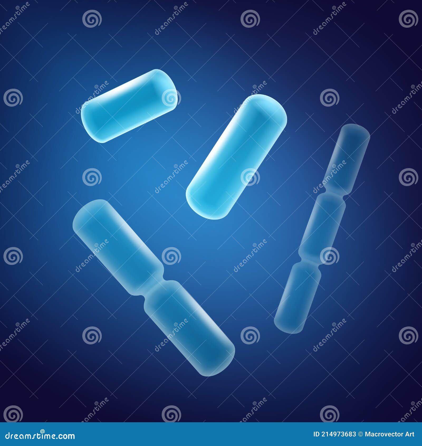 Bacilli Bacteria. Pink Rod Cells Of Infection Disease Vector ...